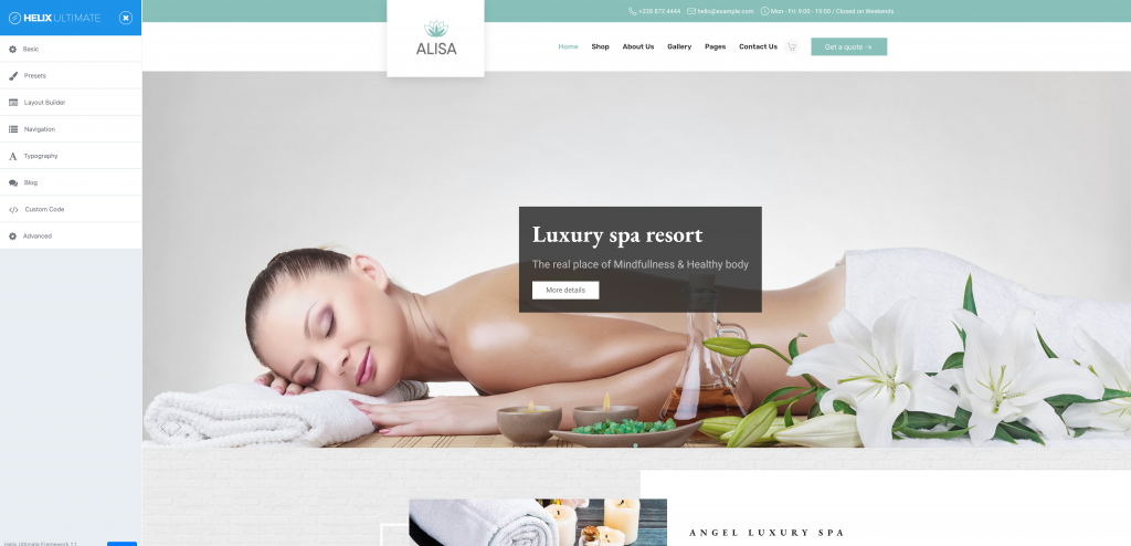 Alisa II Documentation • WarpTheme